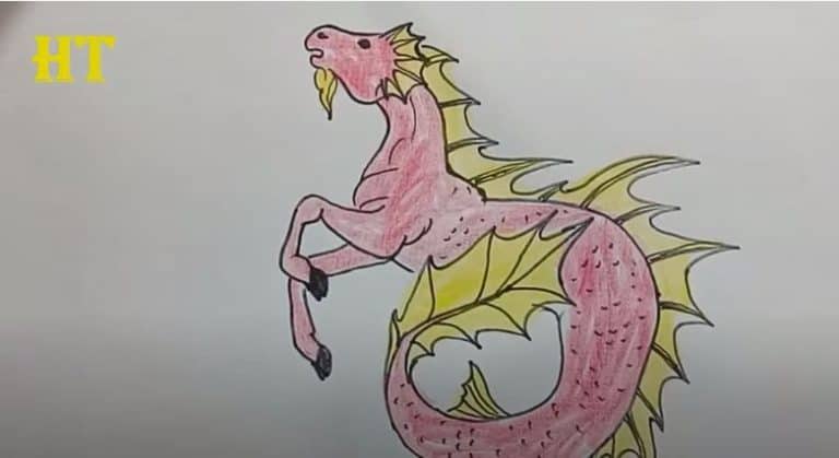 How To Draw A Hippocampus Easy Step By Step - Entertainment for All