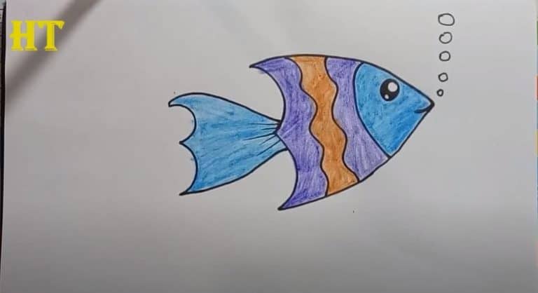 How To Draw A Fish Cute And Easy Step By Step - Entertainment for All