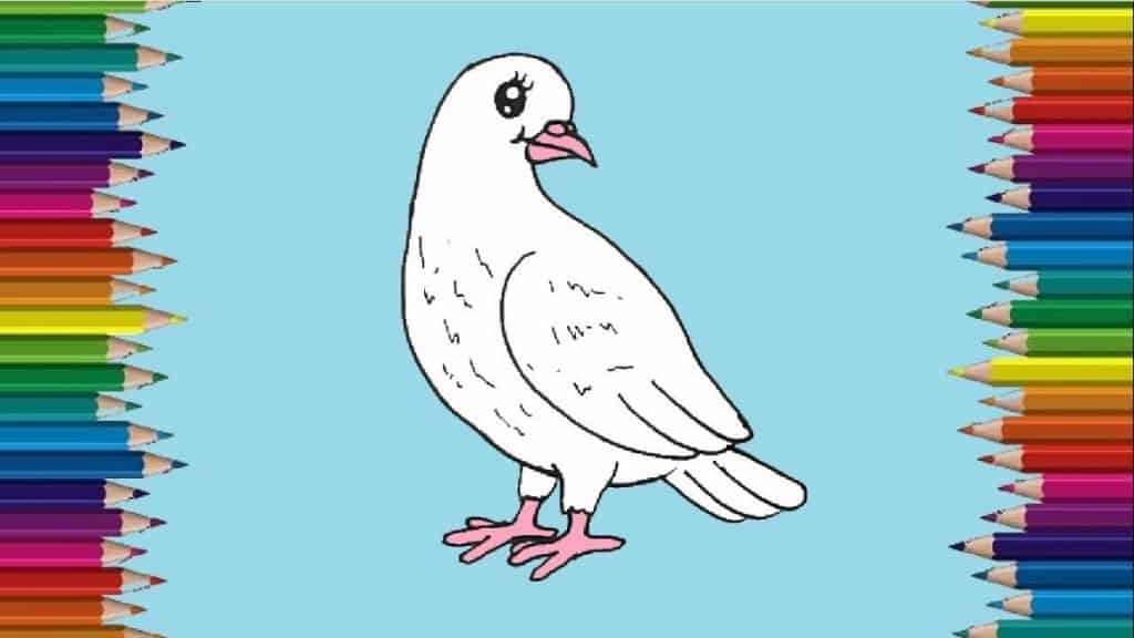 How To Draw A Dove Step By Step - Dove drawing - Entertainment for All