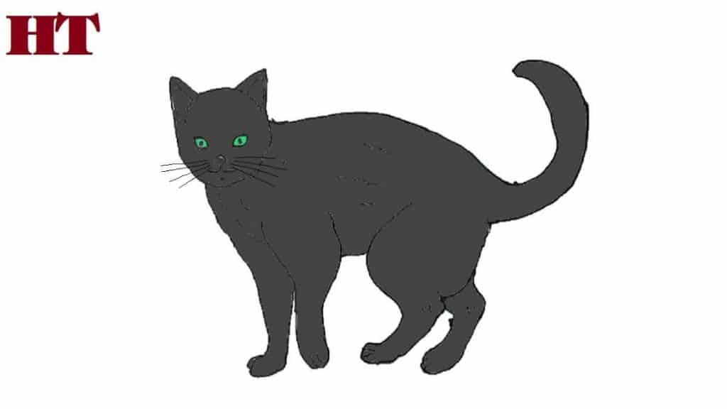 How To Draw A Black Cat Easy Step By Step - Entertainment for All