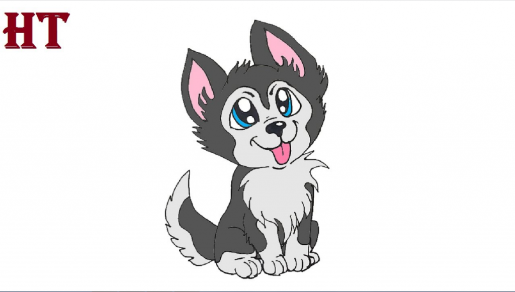 How to draw a husky puppy step by step || Dog drawing easy ...