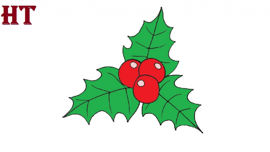 How to Draw a Holly step by step - Easy Fruit Drawing for kids ...