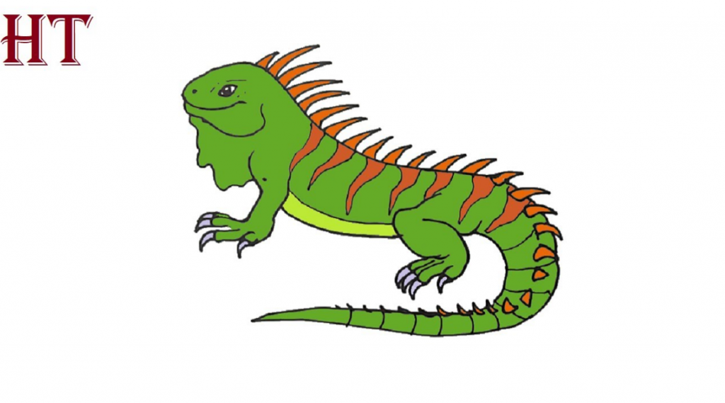 How to Draw an Iguana Step by Step | Easy Animals to draw ...