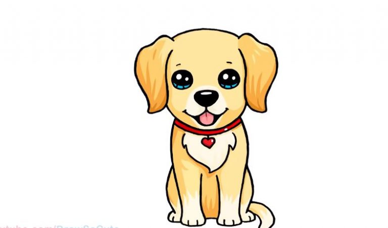 How to Draw a cute Labrador step by step | Easy drawing Golden ...