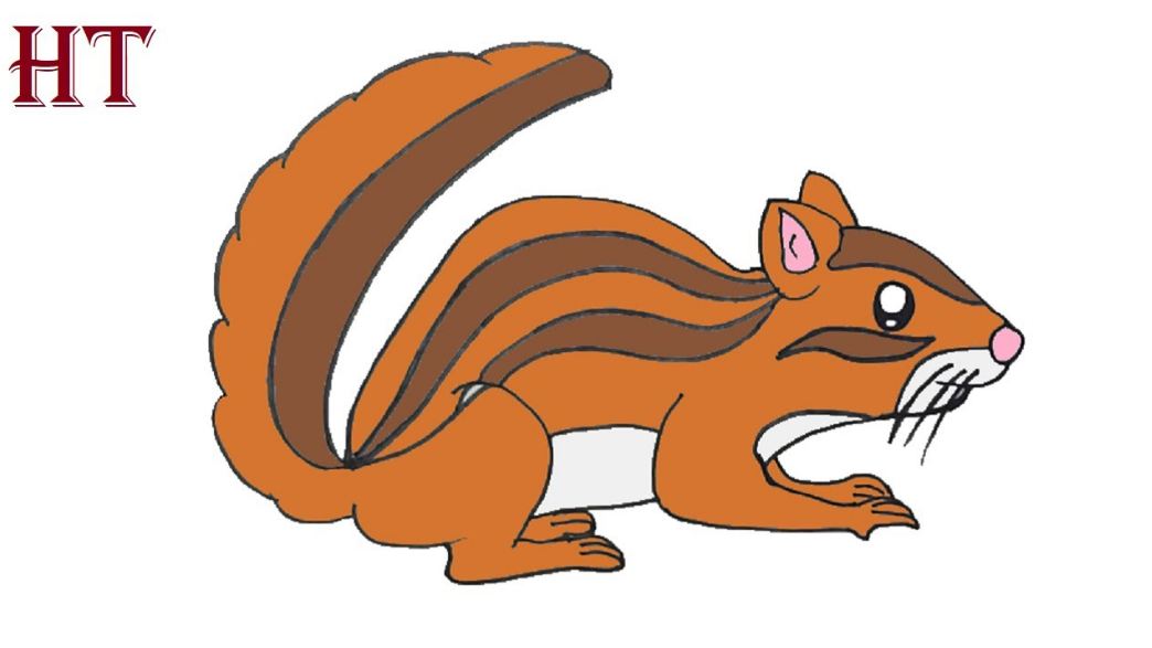 Easy drawing Chipmunk || How to draw a Chipmunk step by step - HTFunny.com