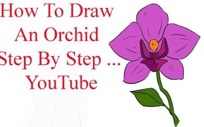 How to draw an Orchid flower step by step | Easy draw Orchid Flower ...