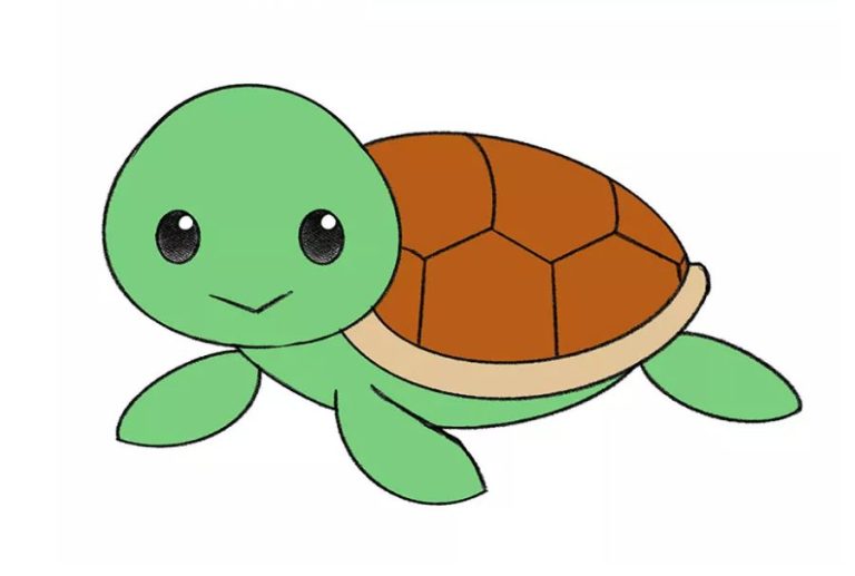 How To Draw Cute Turtle Step By Step Easy Drawing Turtle Htfunny