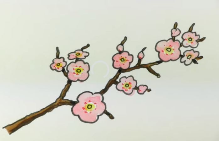 How To Draw Cherry Blossoms Step By Step Easy Cherry Blossom Coloring
