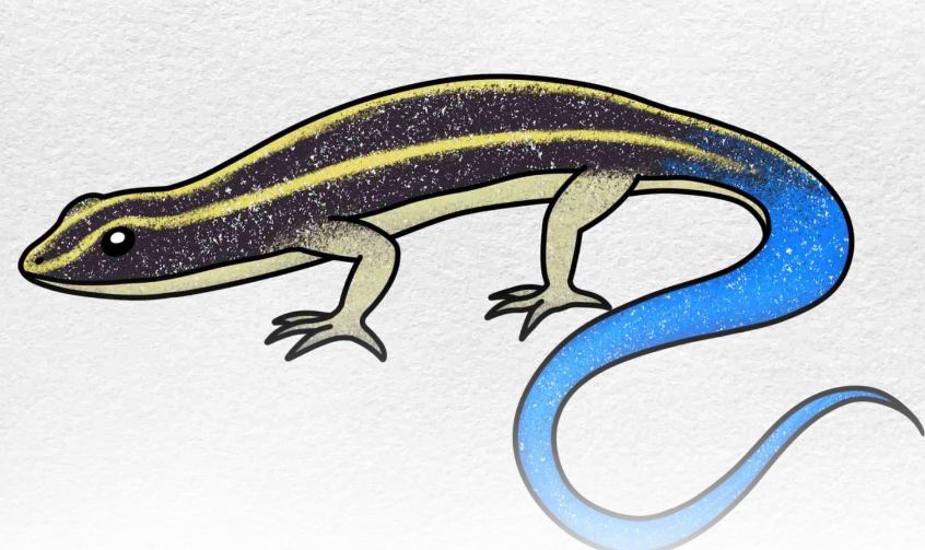 How to draw 3D Blue Tail Skink Lizard step by step -Easy drawing blue ...