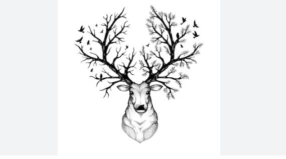 How To Draw Deer Head Step by Step - Animals are easy to draw ...