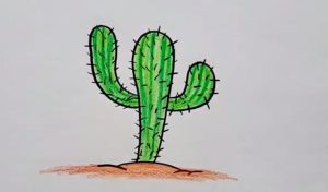 How to draw a cartoon cactus step by step - Entertainment for All