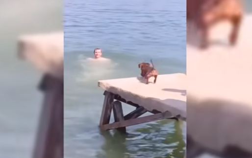 Collection of the funniest situations - Funny video - Entertainment for All