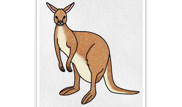 How to Draw a Kangaroo step by step - Entertainment for All