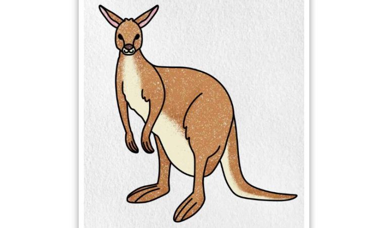 How to Draw a Kangaroo step by step - Entertainment for All