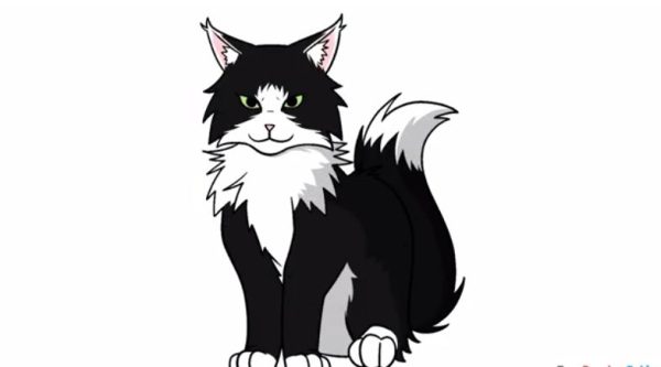 How to Draw an Anime Cat step by step - Entertainment for All