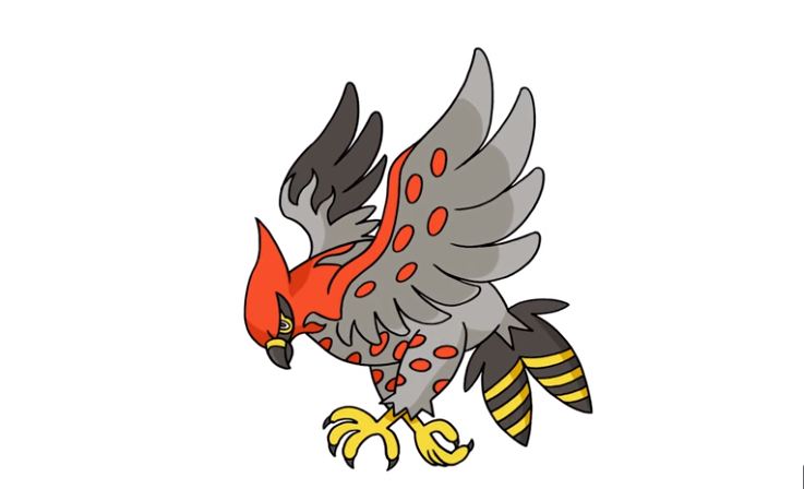 How to Draw Talonflame step by step - HTFunny.com