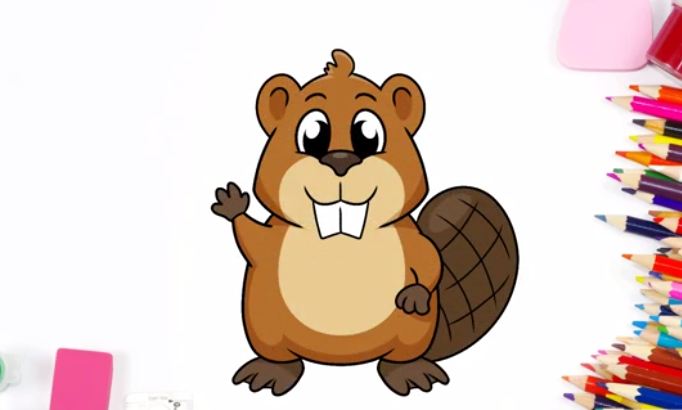 How to Draw a Cartoon Beaver step by step - HTFunny.com