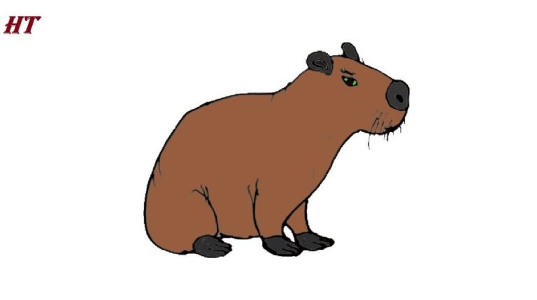 How to Draw a Capybara step by step - Entertainment for All