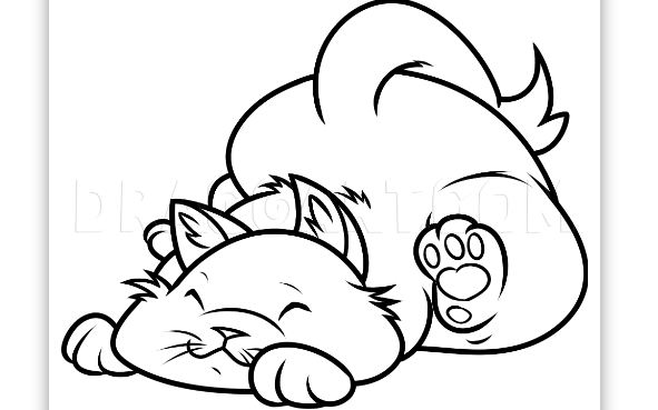 How to Draw a Fat Cat step by step - Entertainment for All