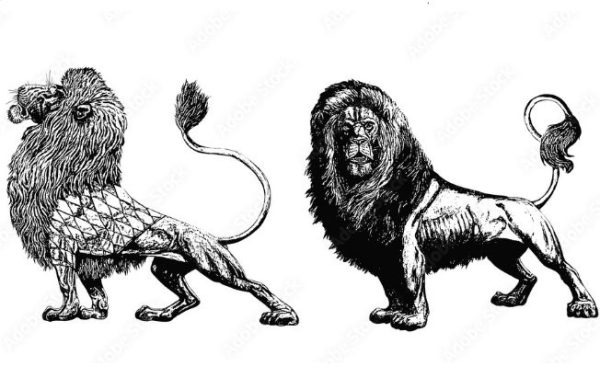 How to Draw a Lion using numbers 2 step by step - Entertainment for All